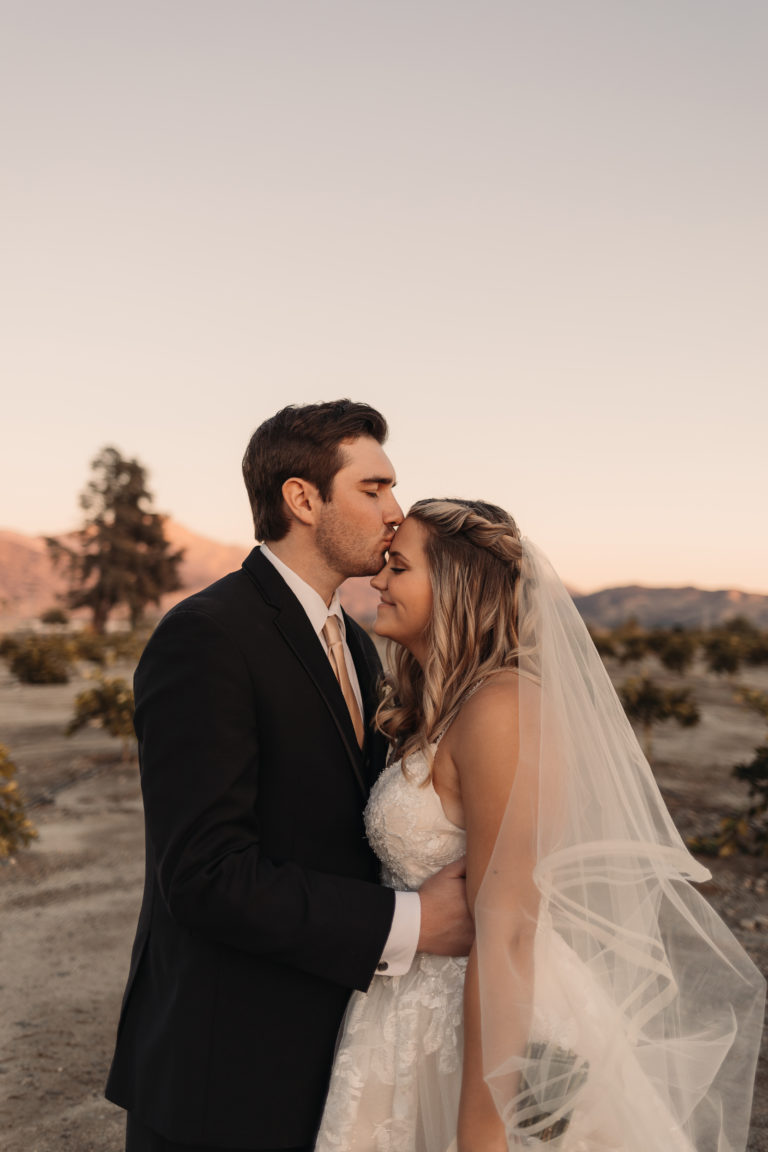 Casey Orchards Wedding | Karli & Chipper - laurenkovacik.com